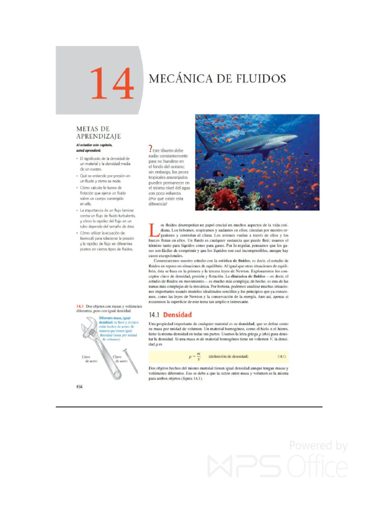 Cap. 14 Fluidos. Sears | PDF