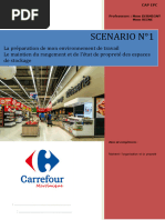 Diapo E33 Situation 2 FDRC PFMP 2 - Finale | PDF | Évolution de carrière | Affaires