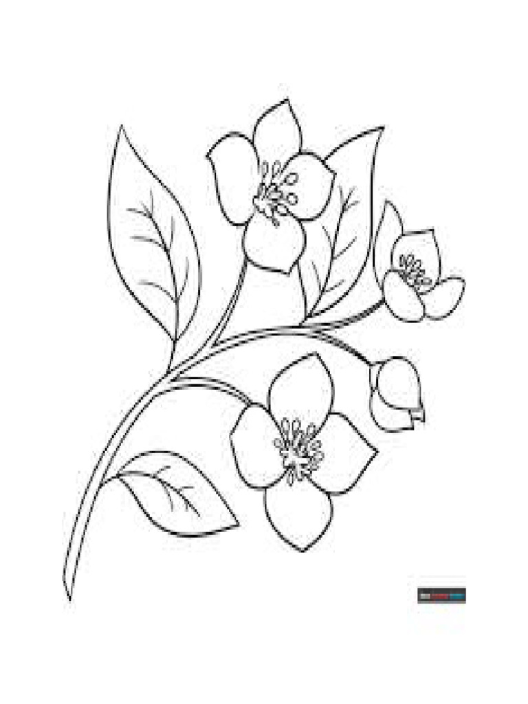 Sketsa Bunga | PDF