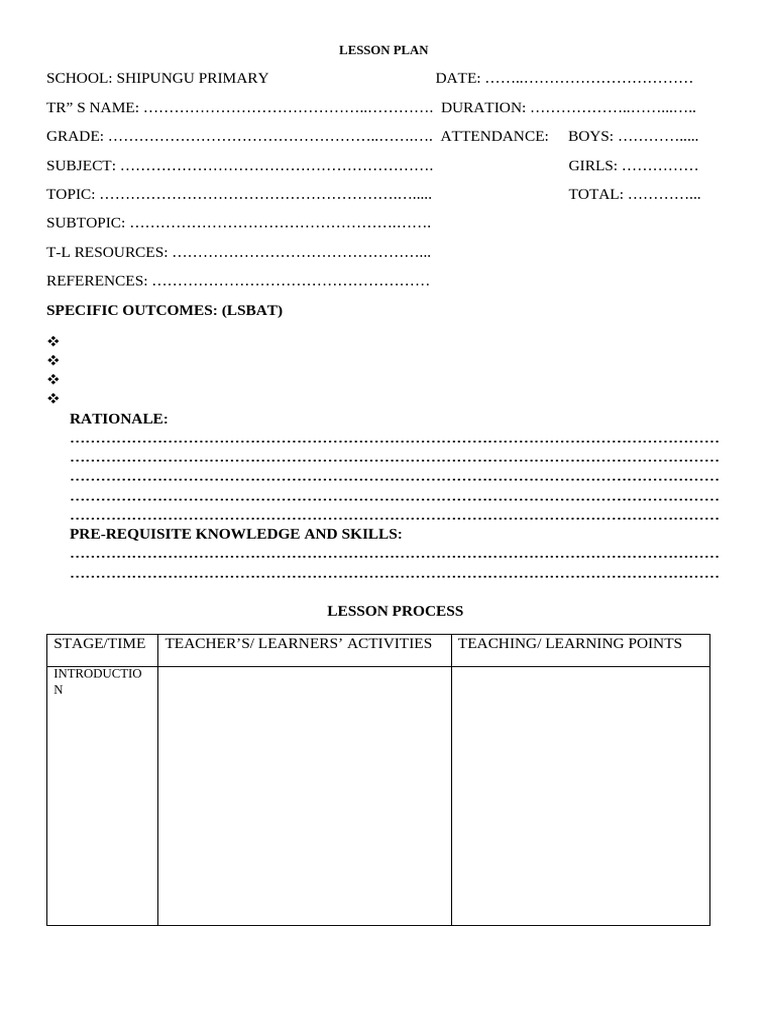 Primary School Lesson Plan Template | PDF