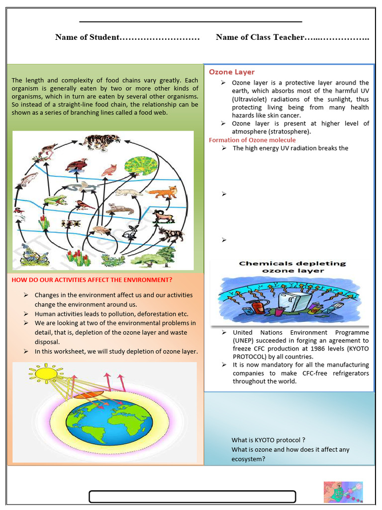 Worksheet 71 | PDF | Ozone Depletion | Ozone