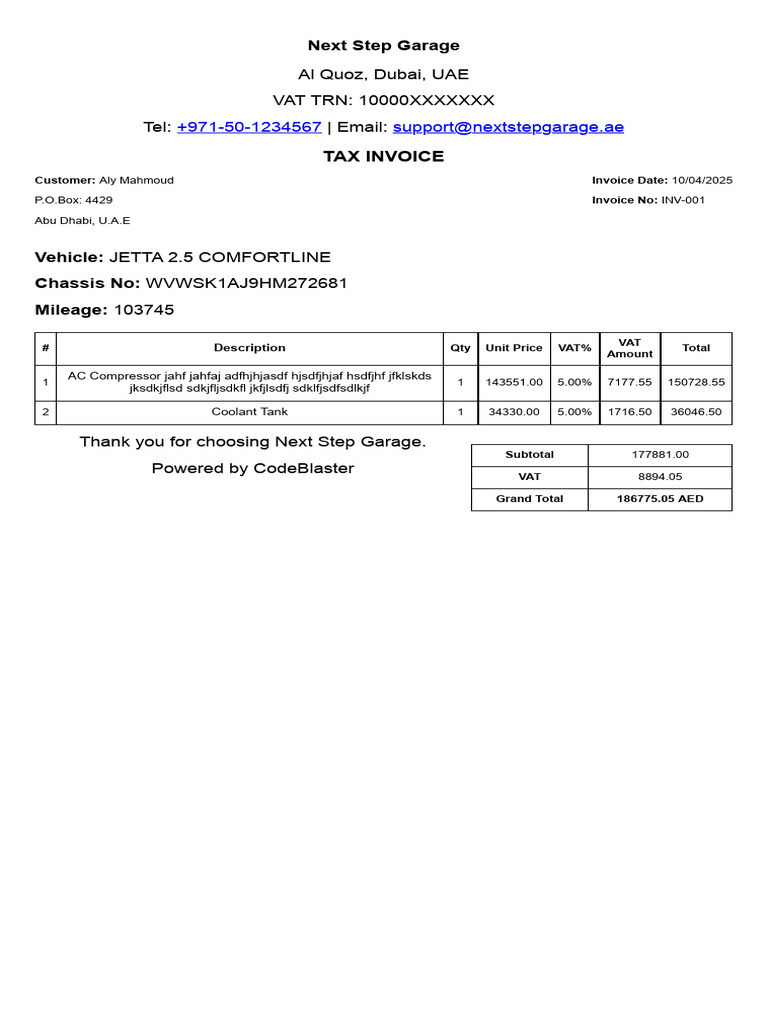AlyMahmoud - INV-001 - 10-04-2025 4 | PDF