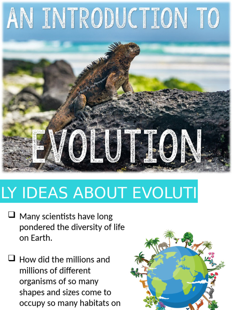 Principles of Evolution Explained | PDF | Evolution | Life