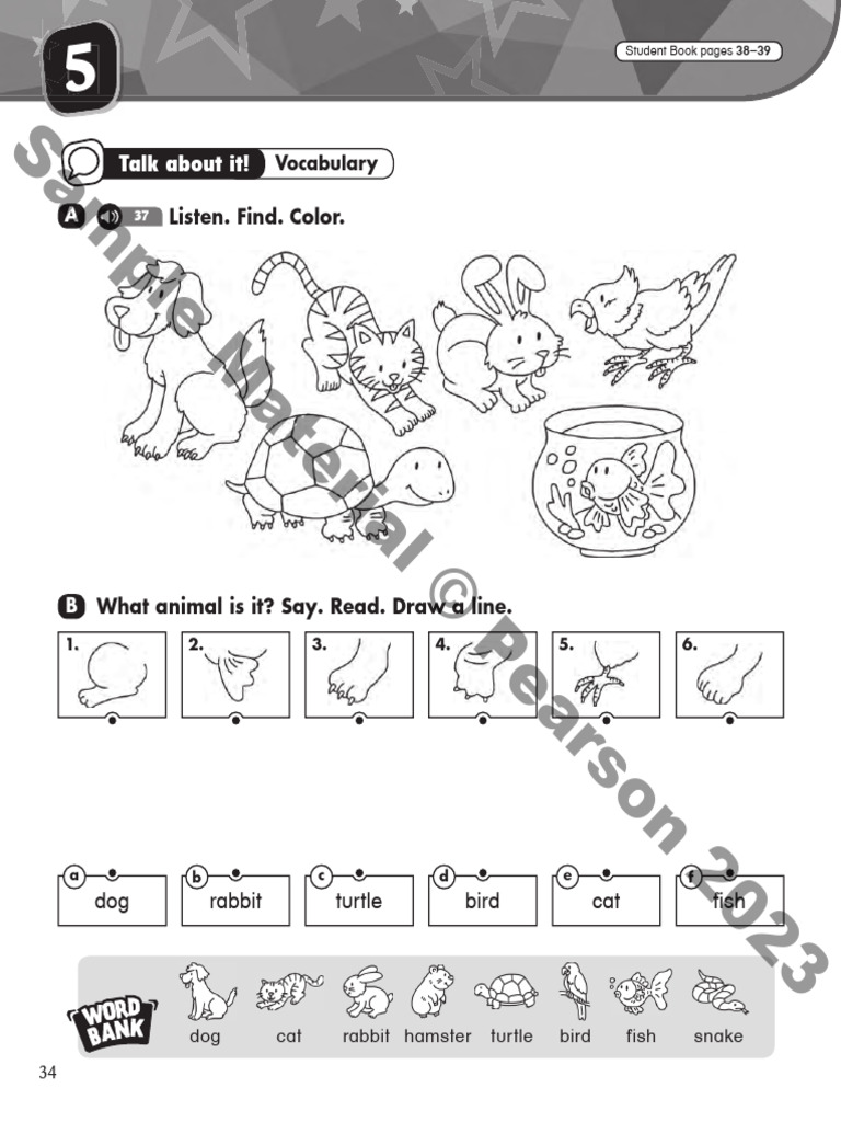 SuperKids L1 U5 - Activity Book | PDF | Zoology