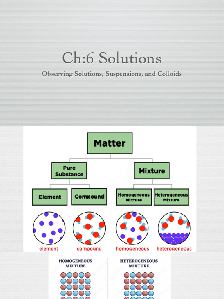Ch6 Grade 11 Solutions Sec1 | PDF