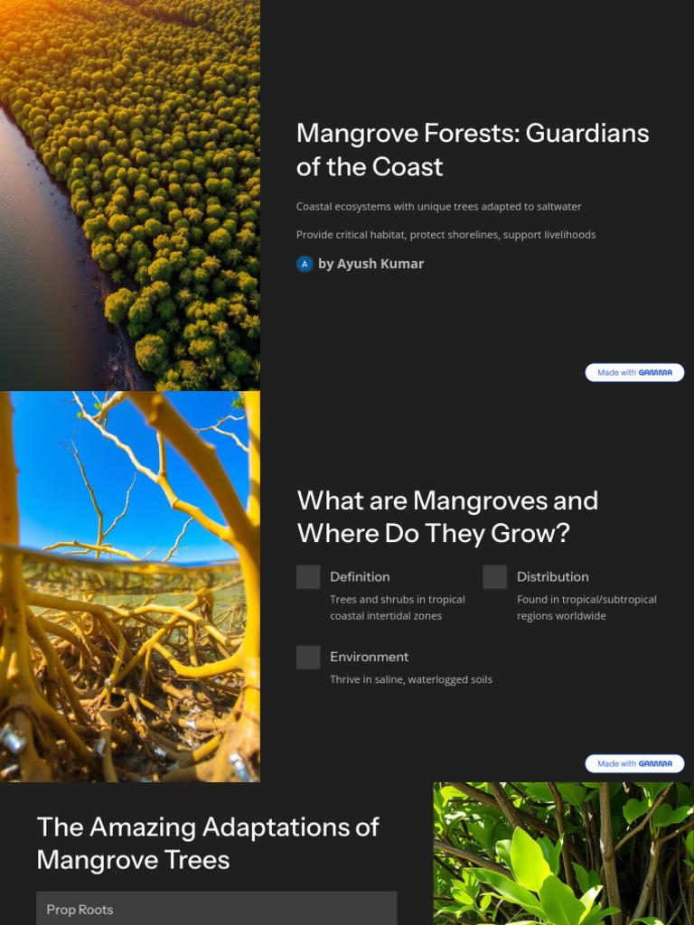 Mangrove Forests Guardians of The Coast | PDF