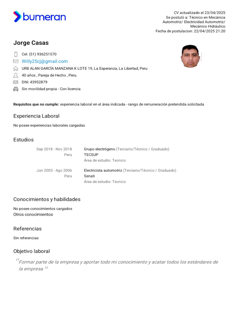 CV Jorge Casas | PDF