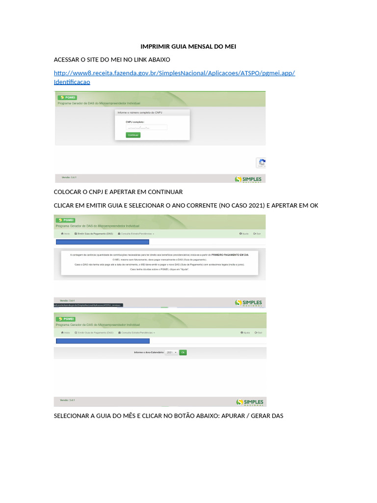 Imprimir Guia Mensal Do Mei | PDF