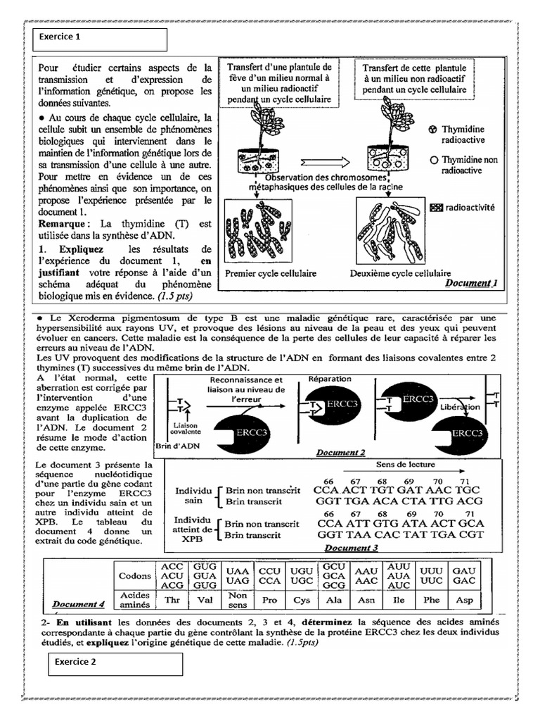 exercice gene pc | PDF