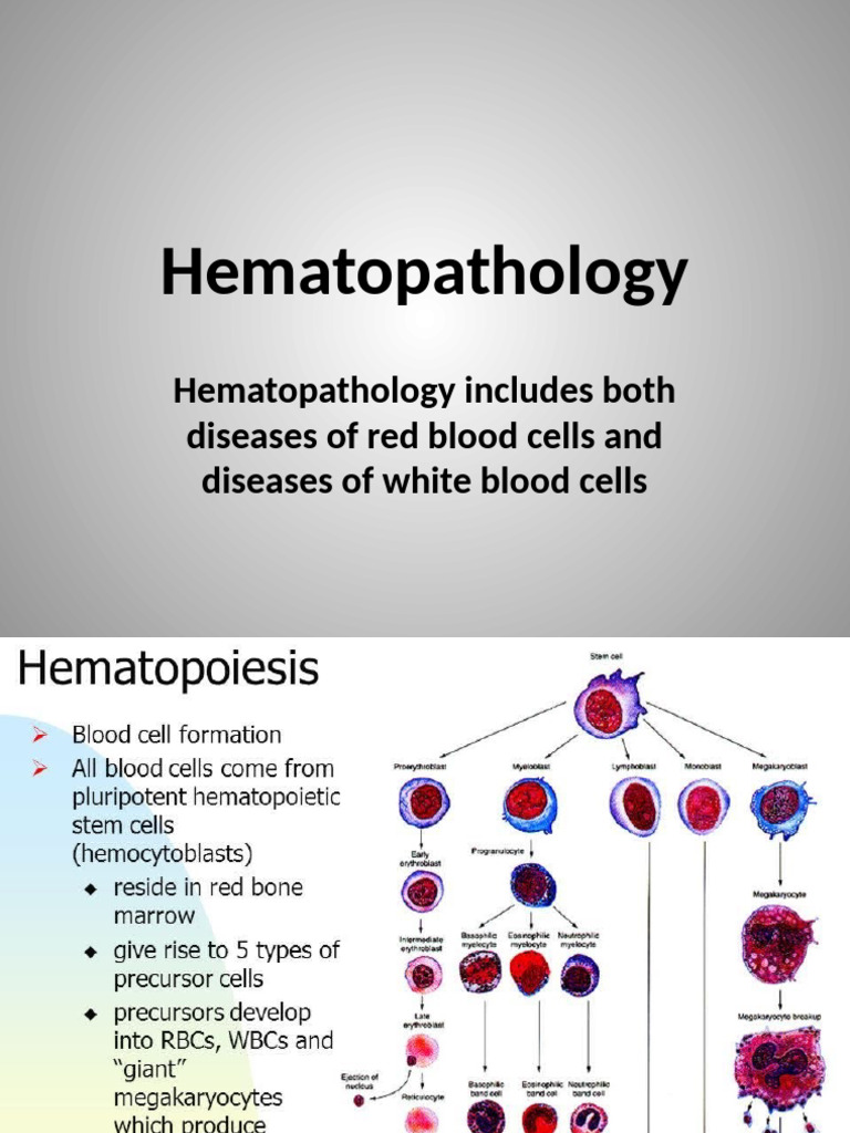 Pathology of The Blood | PDF | Anemia | Hematology