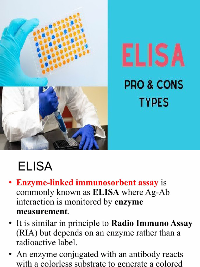 Elisa | PDF
