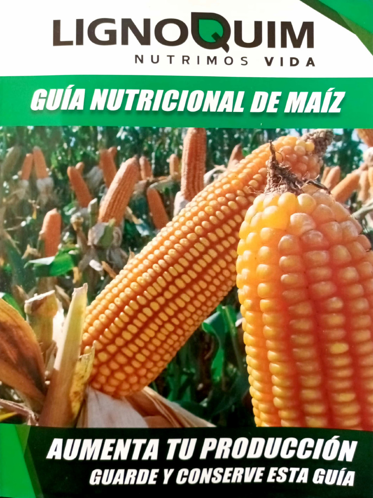 Guía Maíz - LignoQuim | PDF