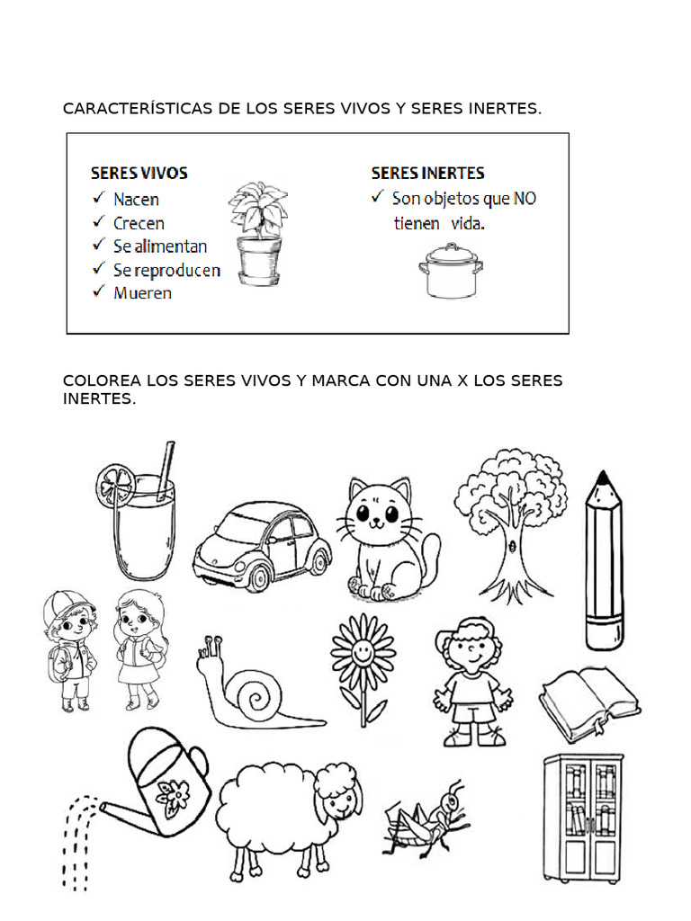 1° Cien Ii Unidad | PDF