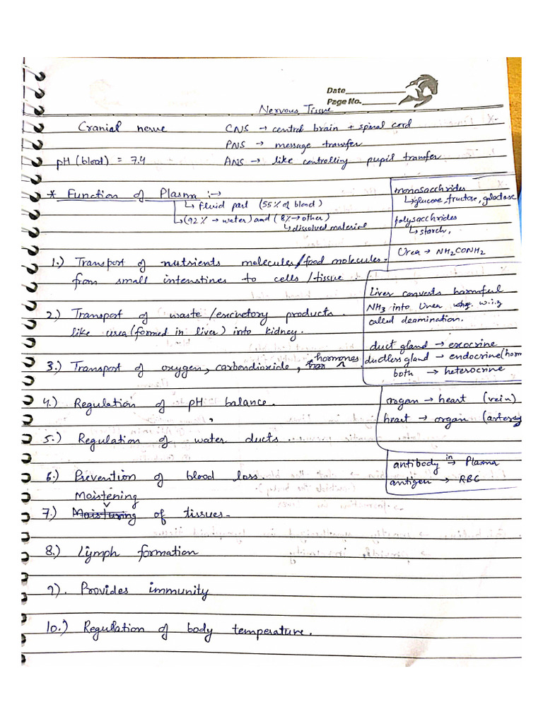 Human anatomy and physiology | PDF