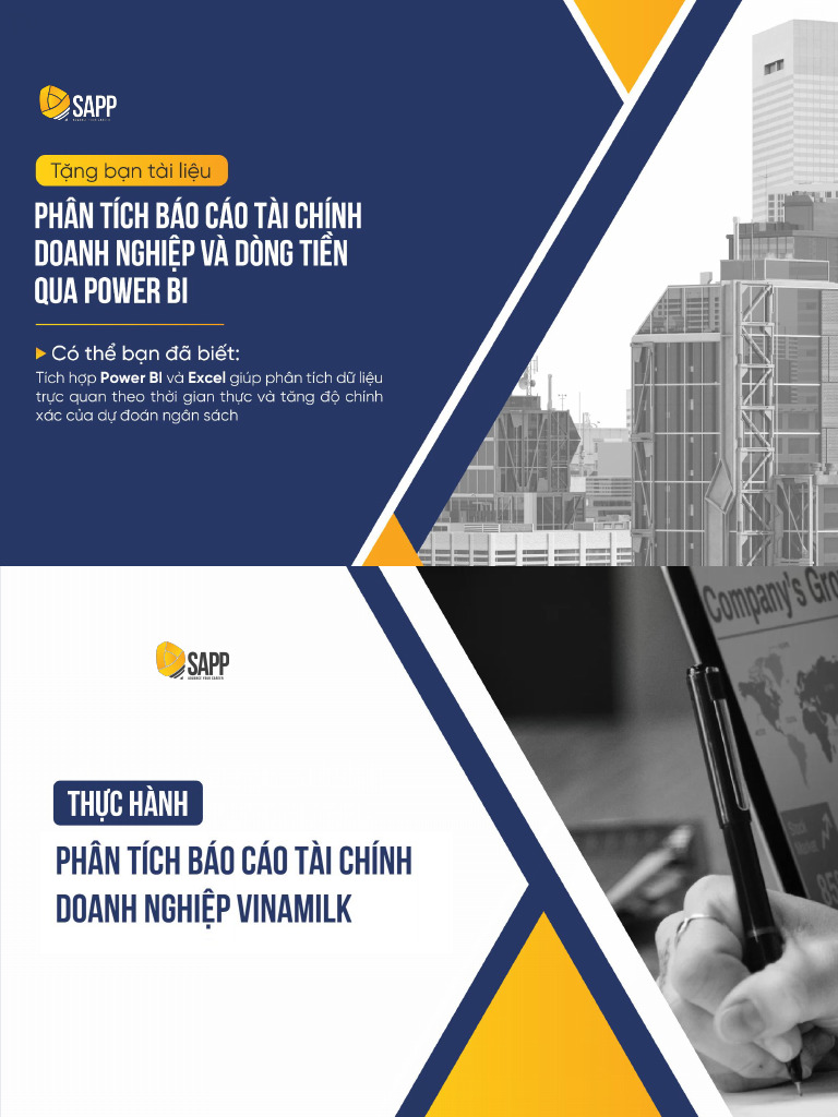 Phân tích BCTC Vinamilk | PDF