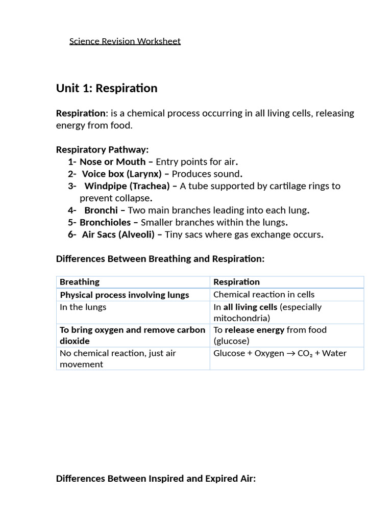 Science Revision Worksheet | PDF | Respiratory System | Breathing