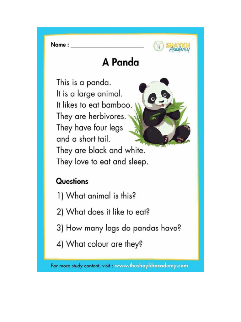 Beginner Reading Comprehension panda | PDF