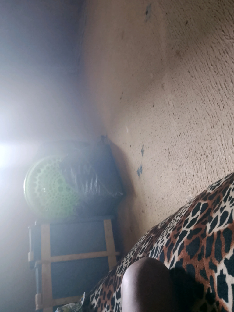 PDF Phoenix 20250519 161925 | PDF