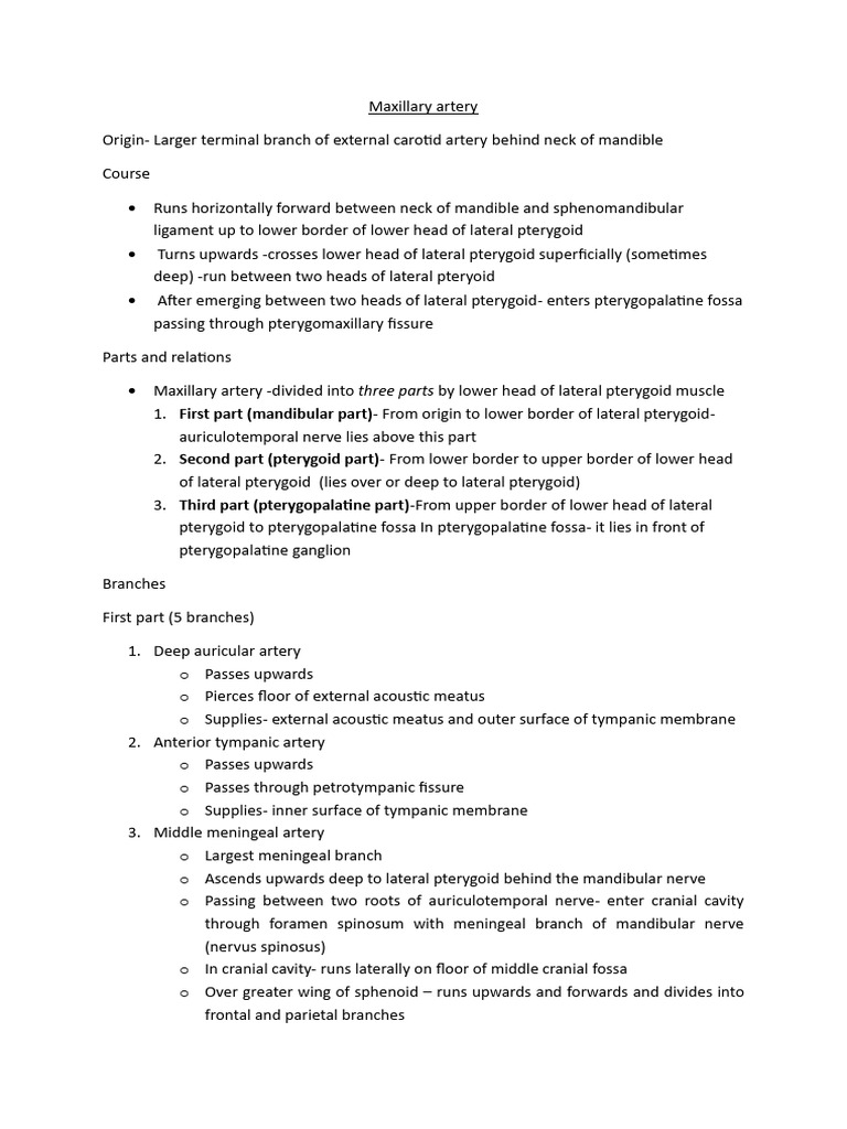 Temporal and Infratemporal Fossa II - Maxillary Artery | PDF | Human ...