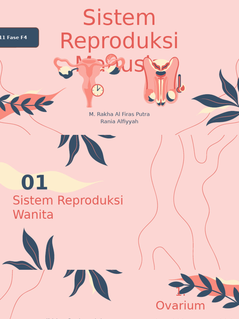 Poster Penyakit Reproduksi Manusia | PDF