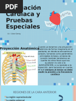 Límites y Anatomía de la Región Precordial | PDF | Corazón | Órgano ...