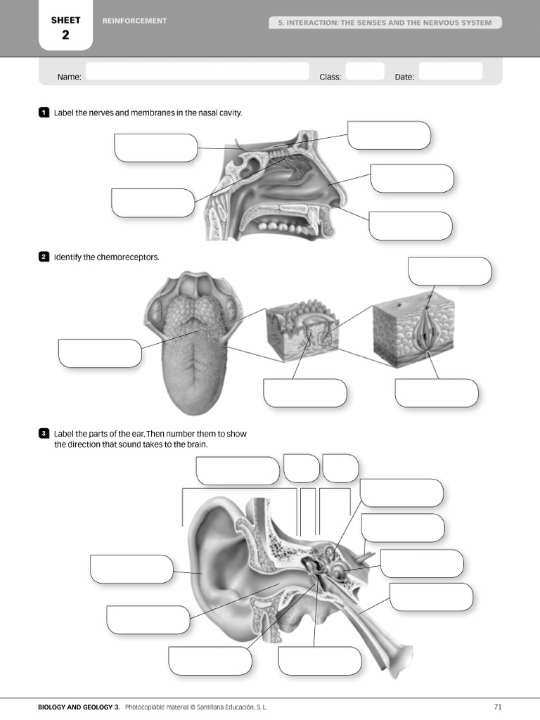 Senses 2 BN | PDF