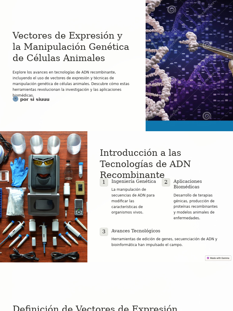 Vectores-de-Expresion-y-la-Manipulacion-Genetica-de-Celulas-Animales | PDF | Ingeniería genética ...
