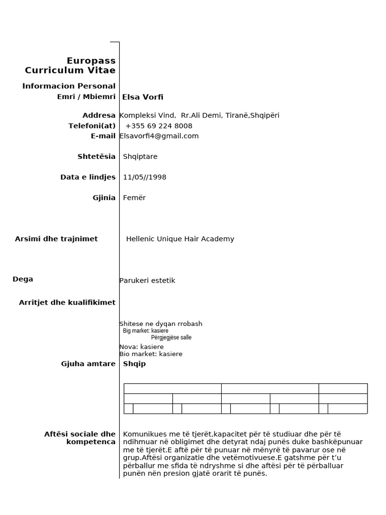 Elsa Vorfi CV 2 | PDF