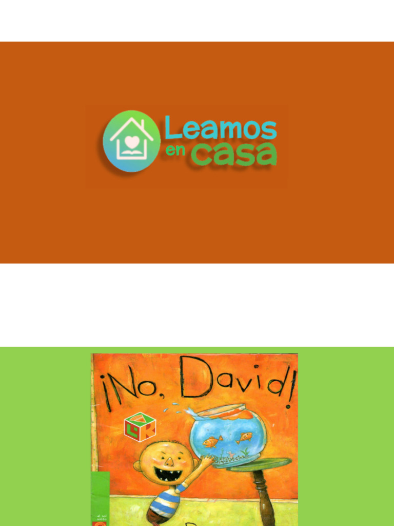 ¿No David! de David Shannon | PDF