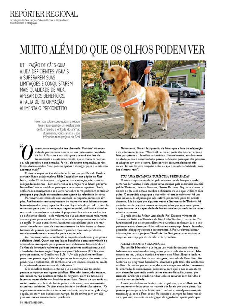 Reportagem Cães-Guias - Revista Regional | Cães | Deficiência