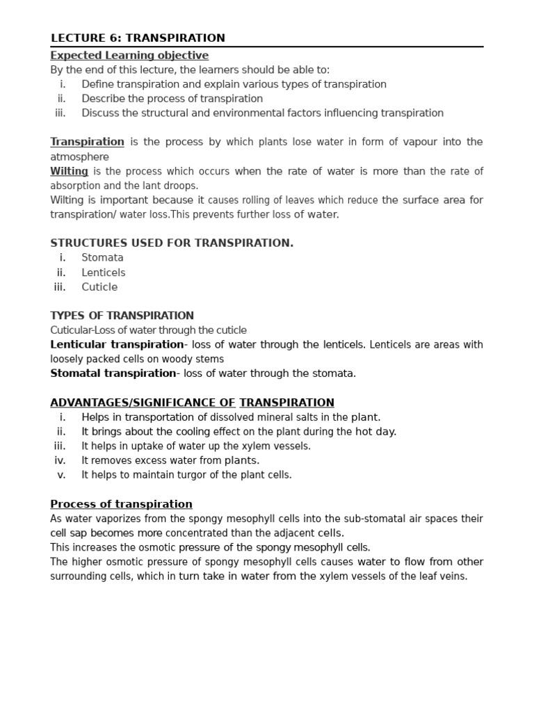 Understanding Plant Transpiration Process | PDF | Stoma | Leaf