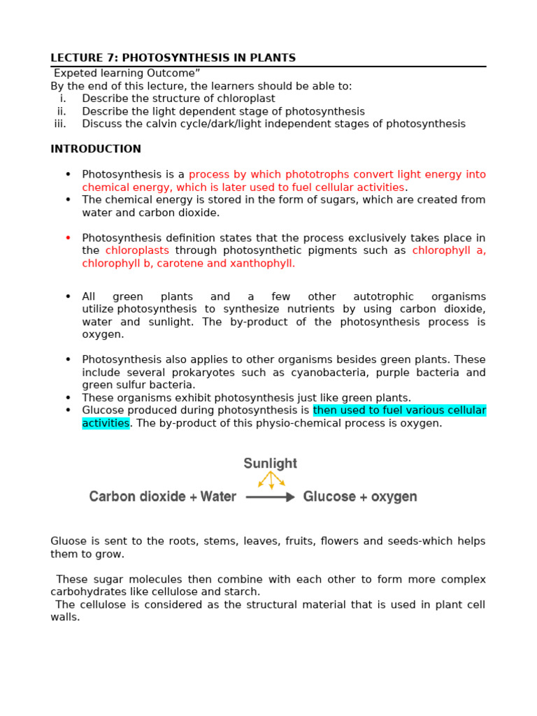 Lecture 7 - Photosynthesis in Plants | PDF | Photosynthesis | Biology
