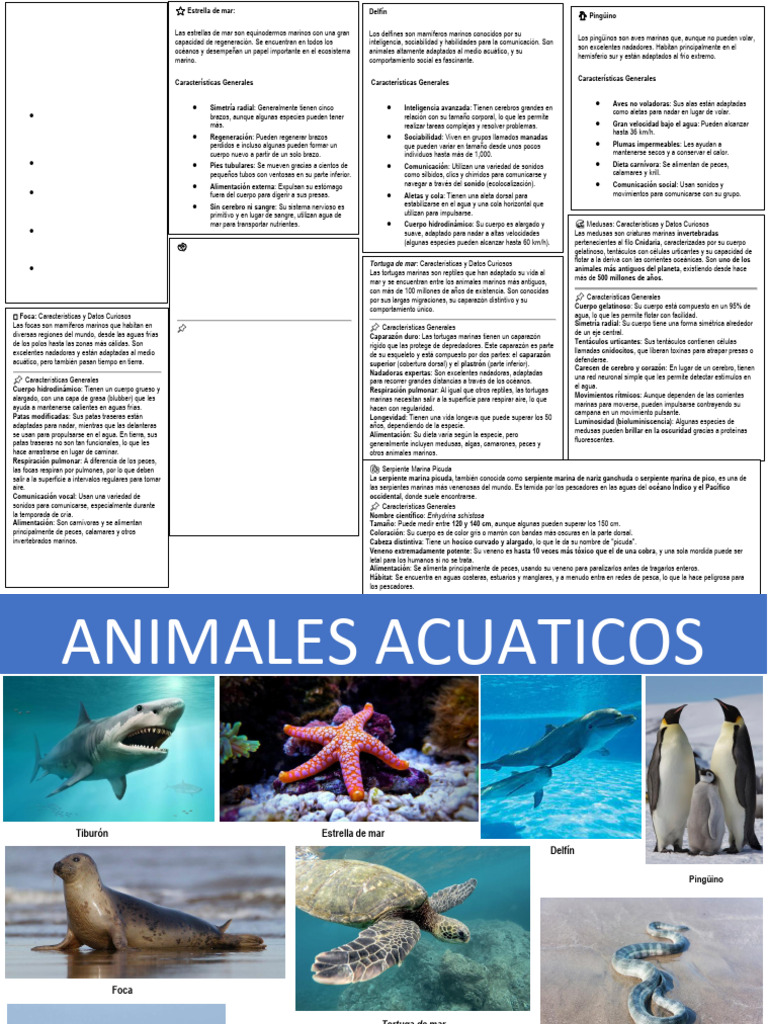 Animales Acuaticos | PDF | Pescado | Serpiente