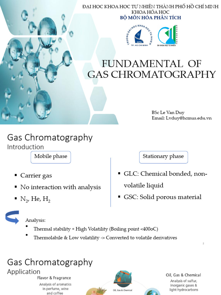 Gas Chromatography Fundamental Versv | PDF | Gas Chromatography ...