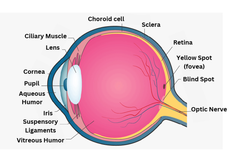 Eye Diagram | PDF