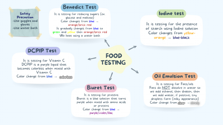 Food Testing Summary | PDF