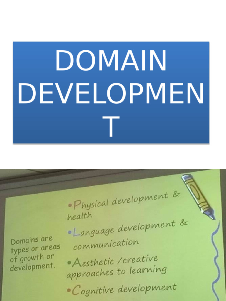 Domain Development | PDF
