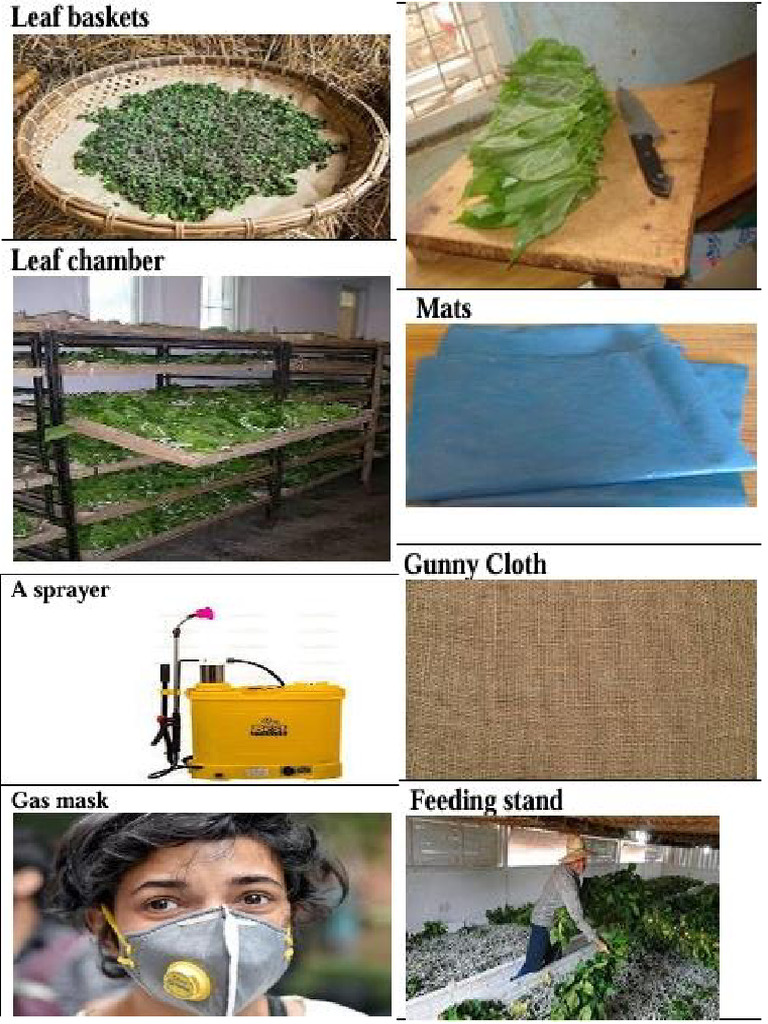 SERICULTURE EQUIPMENT | PDF