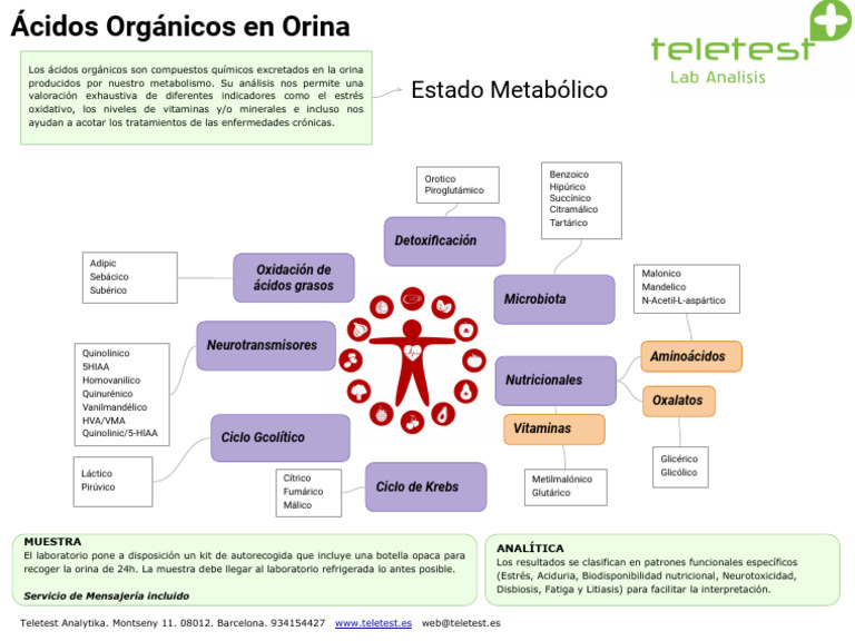 Ácidos Orgánicos en Orina Panfleto. | PDF