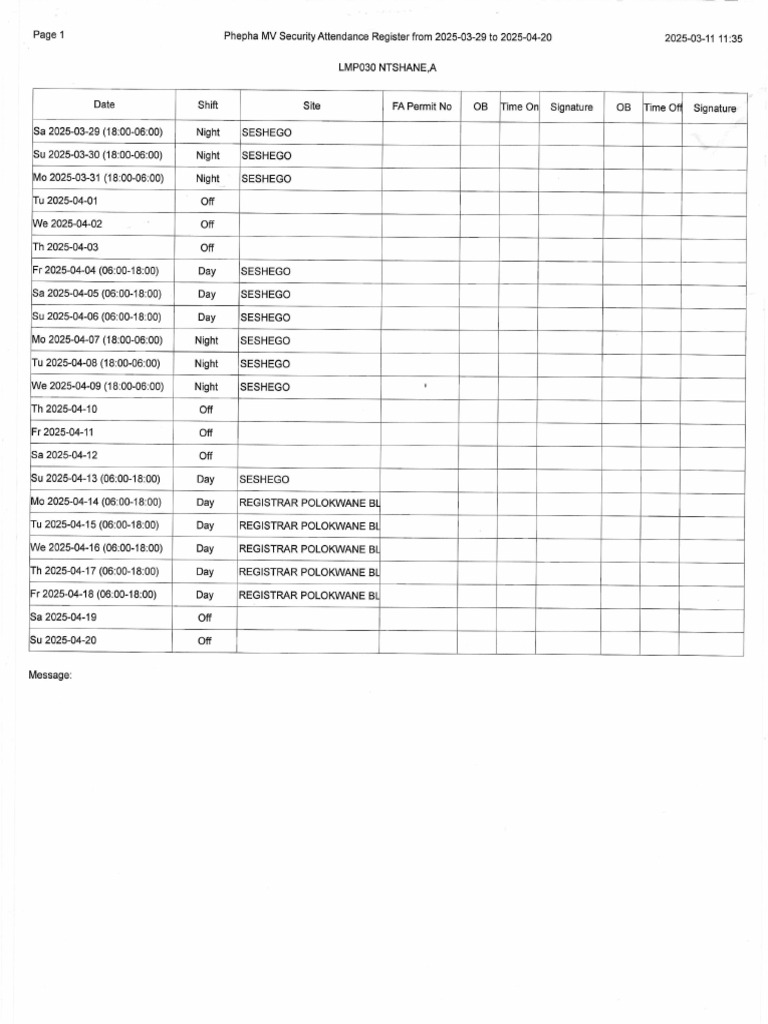 Ali Timesheet | PDF