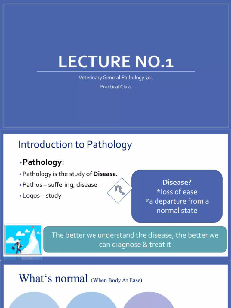 Descriptive Gross Pathology | PDF