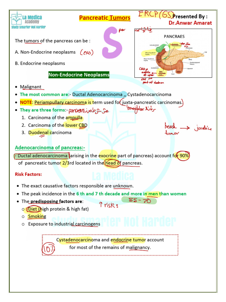 Pancreatic Tumors Overview and Management | PDF | Pancreas | Pancreatic ...