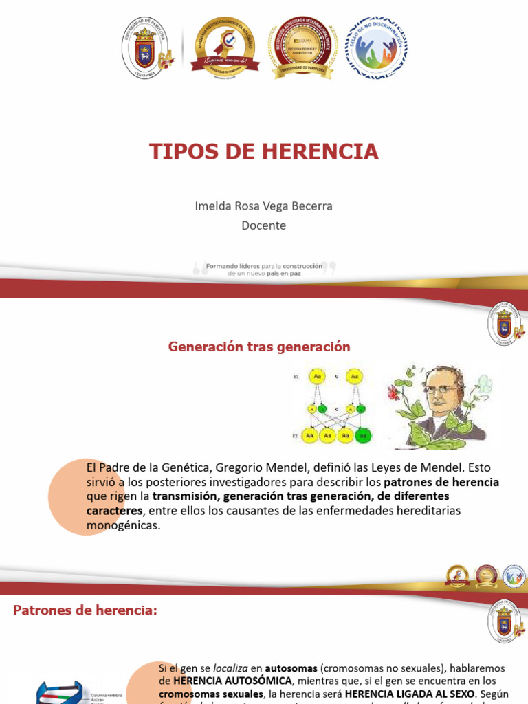 Diapositivas - Tipos de Herencia | PDF | Mutación | Dominancia (Genética)