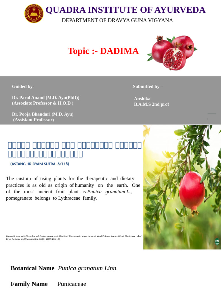 Dadima | PDF