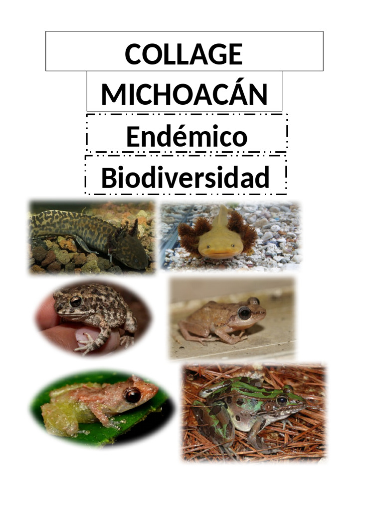 Collage Michoacán: Biodiversidad Endémico | PDF