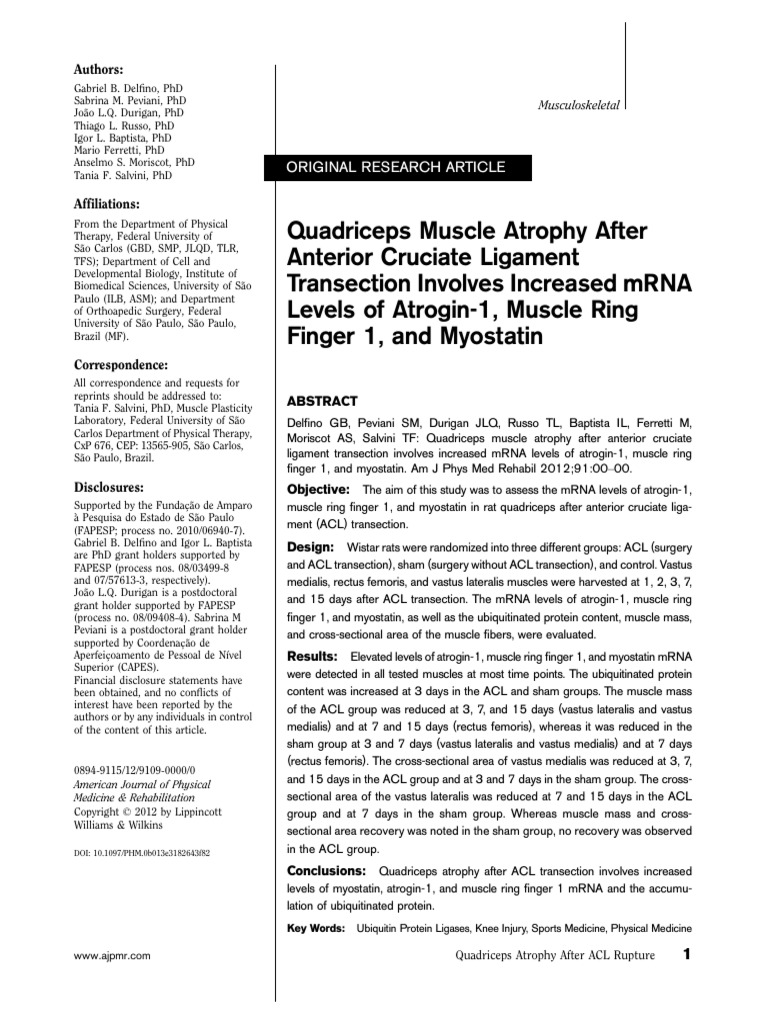 Quadriceps Muscle Atrophy After anterior cruciate ligament transection ...