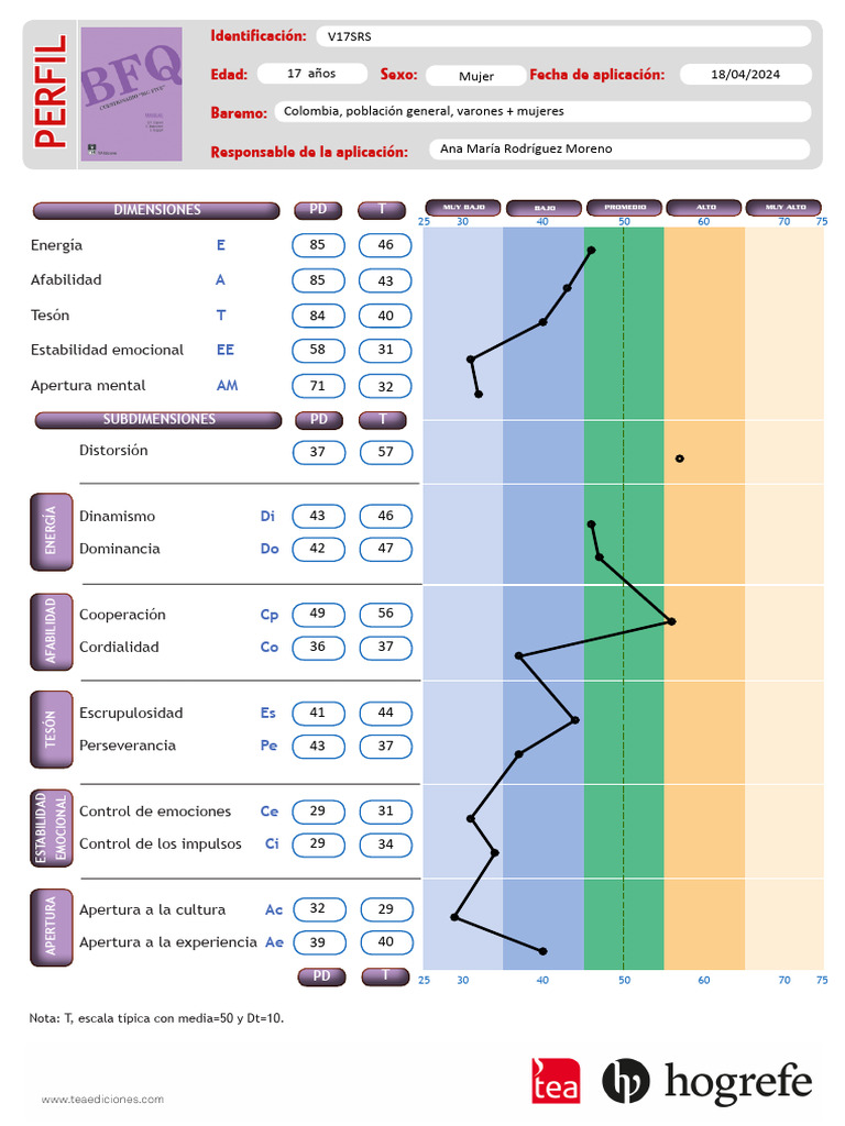 Perfil BFQ V17SRS | PDF