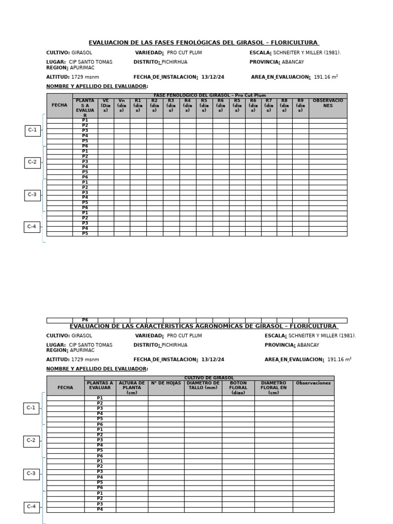 Fichas de Evaluación - Flori | PDF | Agricultura | Botánica