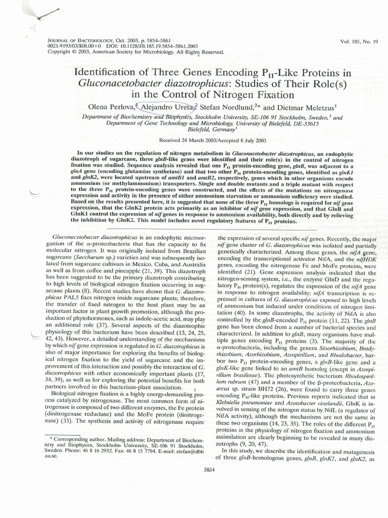 Identification of Three Genes | PDF