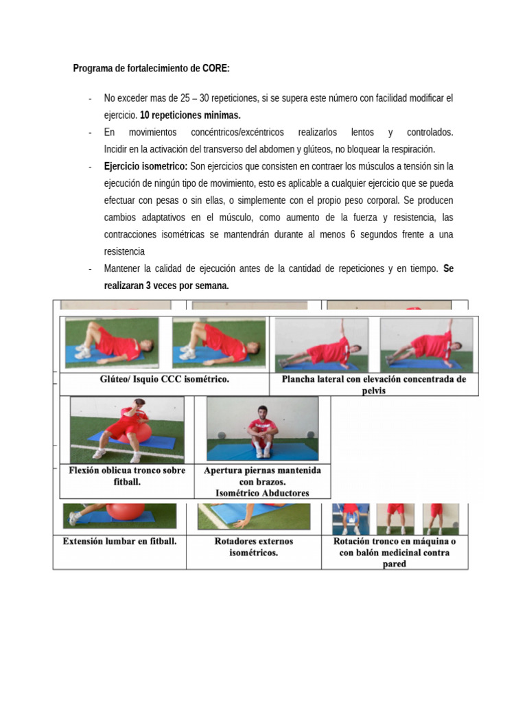 Programa de Fortalecimiento de CORE | PDF